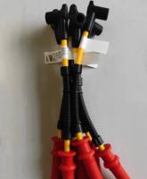 China Weichai Original 6HH1 Ignition System Xiang Torch High Voltage New Humvee Natural Gas Engine Assembly 1 Year Warranty China for sale
