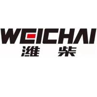 China Weichai Special 6160/6170 Marine Engine Diesel Fuel Filter Element 6 Month Warranty 1kg Made in China for sale