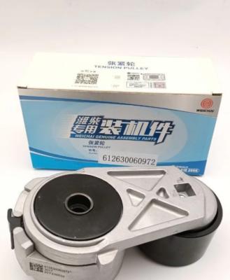 China Weichai WP12 Original Factory Diesel Engine Tensioner Pulley 612630060972 Machinery Engine Parts for sale