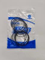 China Original Brand New High Quality Diesel Weichai Piston Ring Kit 2105030141 for Weichai TD226B/WP4/WP6 Series Engine for sale