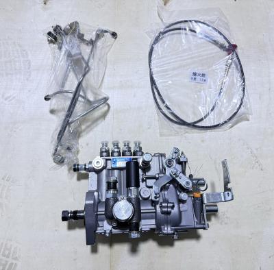 China Quanchai 3.5 Ton Engine 4C2/4C3 Heli Longgong National Three Roller Forklift Metal 1 Year Warranty VE Pump Short Shaft for for sale