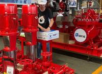 China Jockey pump 50 / 60 hz Pressure Maintain Pump CDL Series Worked for Fire  Fighting System for sale