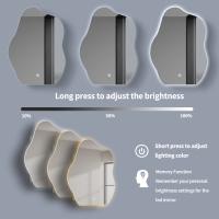 China LED Bathroom Mirror Cabinet 20x28 inch with Defogger and Adjustable Color Temperature for sale