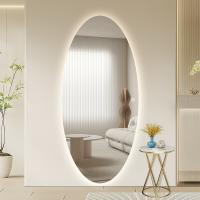 China Anti Fog Oval LED Backlit Mirror , Full Length Dressing Mirror Wall Mounted for sale