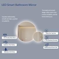 China Twin Circle Illuminated LED Backlight Bathroom Mirror IP44 For Hotel Villa Project for sale