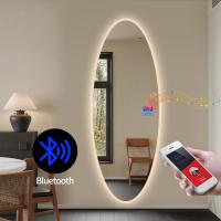 China Oval LED Full Length Mirror Smart Backlit Large Capsule Bathroom Mirror 50x150CM for Hotel Cloakroom for sale