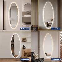 China Oval LED Full Length Mirror Smart Backlit Large Capsule Bathroom Mirror 50x150CM for Hotel Cloakroom for sale