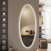 China Oval LED Full Length Mirror Smart Backlit Large Capsule Bathroom Mirror 50x150CM for Hotel Cloakroom for sale