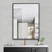 China Vintage Ornate PS Frame Full Length Mirror , Antique Style Floor Mirror Without Light for sale