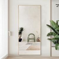 China Vintage Ornate PS Frame Full Length Mirror , Antique Style Floor Mirror Without Light for sale