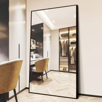 China Vintage Ornate PS Frame Full Length Mirror , Antique Style Floor Mirror Without Light for sale