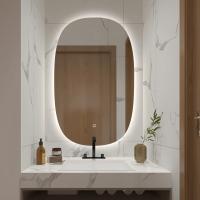China Irregular Copper Free Silver Mirror Frameless Anti Fog Bathroom Smart LED Mirror 19.68x31.5 inch for sale