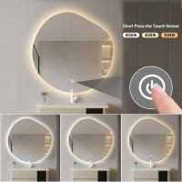 China Frameless Irregular Round LED Bathroom Mirror 110-240V IP44 Backlit for sale