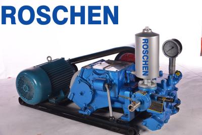 China RS-120-3 Duplex Mud Pump 5.5 KW with 120 L/min Flow and 3 MPa Pressure for Drilling Rigs for sale