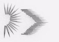 China WP Type Tungsten Heavy Alloy Sharpened Tungsten Electrode 1.6mm 150mm for Welding Currents for sale