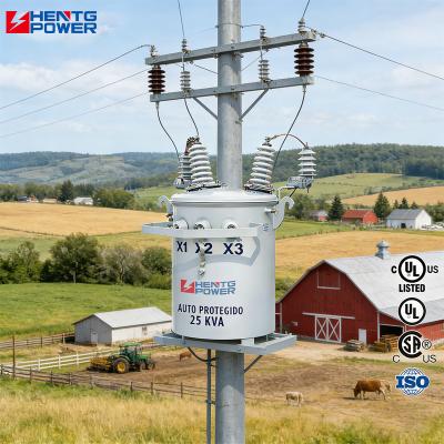 China Single Phase Pole Mounted Transformer 25kVA 11kV 250V Easy Suspension Low Maintenance for Rural and Remote Power Use for sale