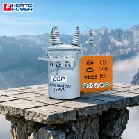 China Safe & Long Lifespan 250KVA Single Phase 0.4KV to 11KV Pole Mounted Transformer for Residential & Small Commercial Use Manufacturer for sale