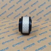 China Respiratory Filter 11707077 for A20CA35EL220H Heavy Duty Truck Engine Air Filter 99.5% Efficiency for sale