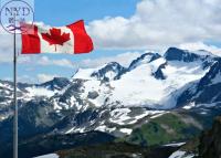 China Tracking Freight Forwarder China To Canada Agent Cargo Sea Shipping Service for sale