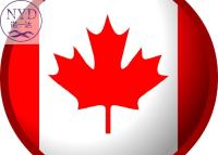 China DDP Sea Freight Forwarder China To Canada Shipping Logistics for sale