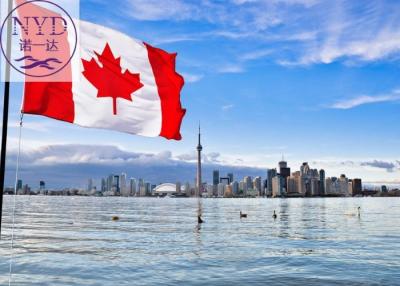 China FBA Amazon Express Cargo Forwarding / Shipping Service From China To Canada for sale