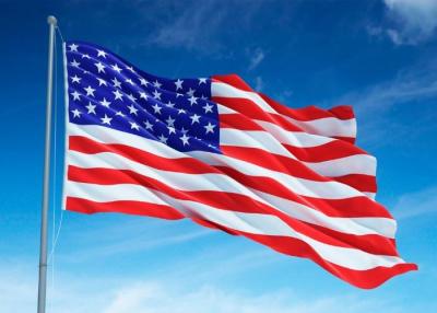 China Reliable Ocean Freight Forwarder Agent Express Shipping From China To USA for sale