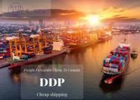 China Fast Delivery Service Freight Forwarder To Canada With Guaranteed Customs Clearance for sale