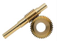 China 1 Lead 0.6 Module Worm Drive Shaft Precision Worm Wheel And Worm Shaft  ISO 7 for sale