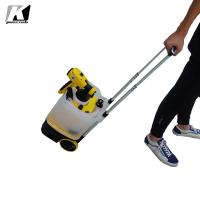 China 1600W Electric HVLP Paint Spray Gun 800ml 4 Nozzles 60cm Tube for Outdoor Painting for sale
