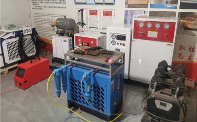 China Customized White Small Nitrogen Generator 20Nm3/H High Pressure Nitrogen Generator for sale