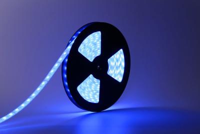 China High Power Full Color 5050 RGB LED Strip IP66 12V Energy Efficient for sale