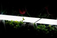 China 360 Degree Lighting LED Neon Tube DC24V 15W/M Flex Silicone LED Neon Light for sale