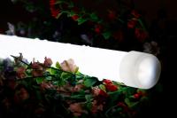 China 360 Degree Lighting LED Neon Tube DC24V 15W/M Flex Silicone LED Neon Light for sale