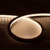 China S-Model 1212 LED neon flex light top view 120led/m 24V 2835 IP67 RA 80 for sale