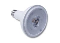 China 12 W 3000 K 832 Lm 92 CRI 2 Years Warranty LED Grow Light with E 26 E 27 B 22 Base for sale