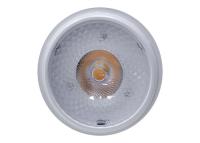 China 12 W 3000 K 832 Lm 92 CRI 2 Years Warranty LED Grow Light with E 26 E 27 B 22 Base for sale