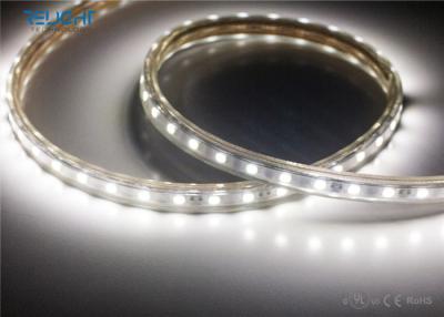 China Relight AC/DC 36V Micro ROHS LED Flexible IP65 Neon Strip Light for sale