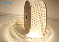 China RGBWW Or White Led Strip Lights IP65 Low Or High Voltage CCT Stepless Dimming for sale