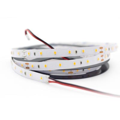 China Warm White IP67 SMD5050 4.8W/M Flexible LED Strip Lights for sale