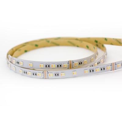 China 120leds IP68 6500K Smd2110 5m Led Flexible Strip Lights for sale