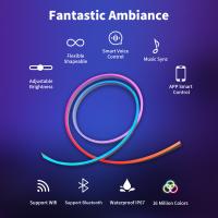 China Smart Light 12v Flex Led Neon Rope Rgb Home Decorative With Music Mode for sale