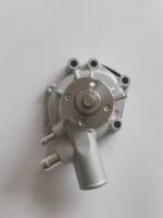 China 3710285M93 1206-6225 MT265B Tractor Water Pump for Massey Ferguson for sale