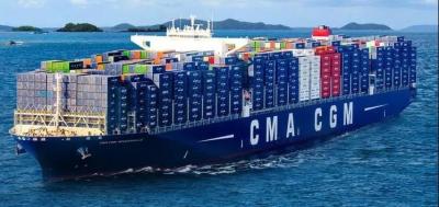 China Best Forwarder Shipping Agents LCL Shipping Service From Qingdao To Oran for sale