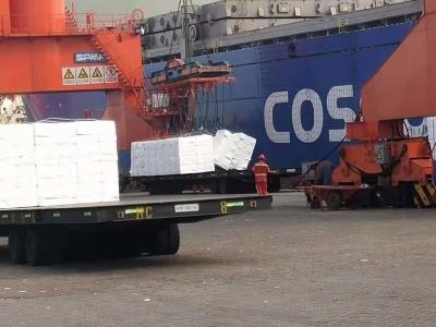 China China Qingdao To Ceska Trebova Sea Shipping Service Multiple Choices for sale