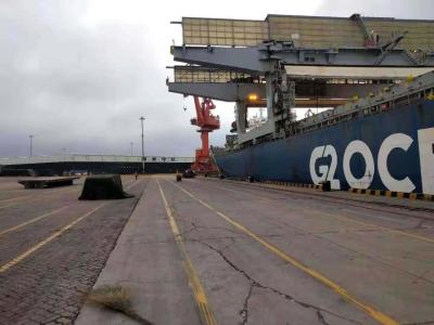 China Relidable International Sea Freight Shipping From China Qingdao To Austria Graz for sale
