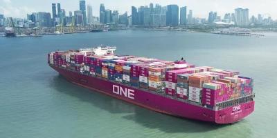 China Shipping Agent Logistic Sea Shipping From Qingdao to Alexandria for sale