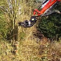 China Fast Grab Tree Shears for Excavator 1.5-3ton 3.5-8ton 12-15ton 186KG for sale