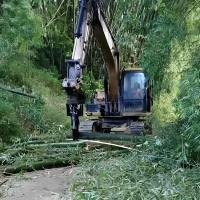 China Advanced Excavator Wood Cutter Hydraulic Tree Cutter for Smooth and Fast Tree Cutting for sale