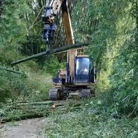 China Advanced Excavator Wood Cutter Hydraulic Tree Cutter for Smooth and Fast Tree Cutting for sale