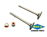 China G4320780 Tricycle TUKTUK Engine Valve Kit Intake Exhaust Valve For TVS KING for sale